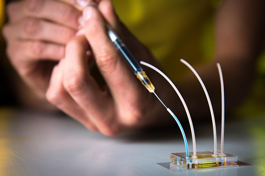 IGDR - Filière Santé